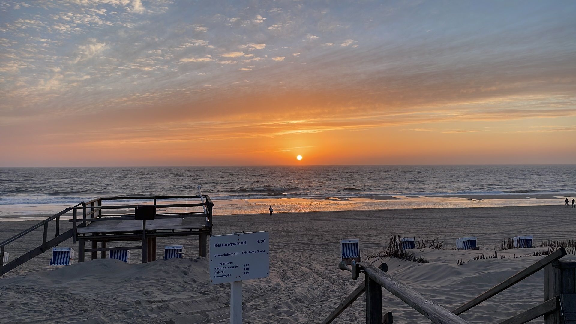 Was ist der Unterschied zwischen organic content und paid content ...